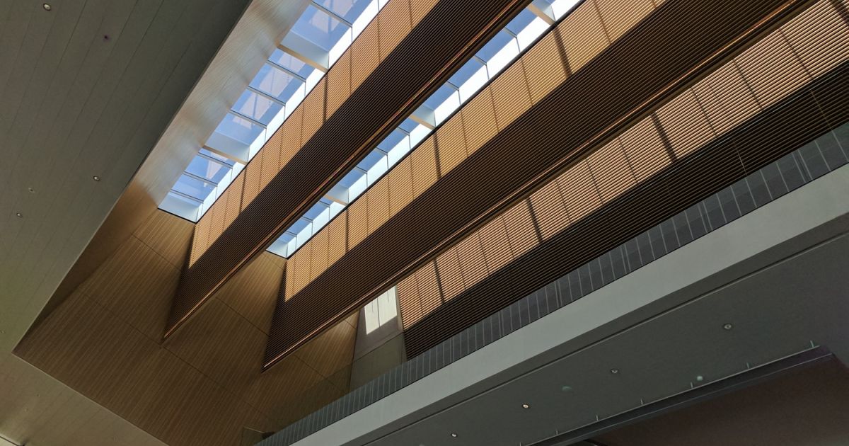 ¿qué se esconde tras el “famous mouse” de mschf? — Baylos